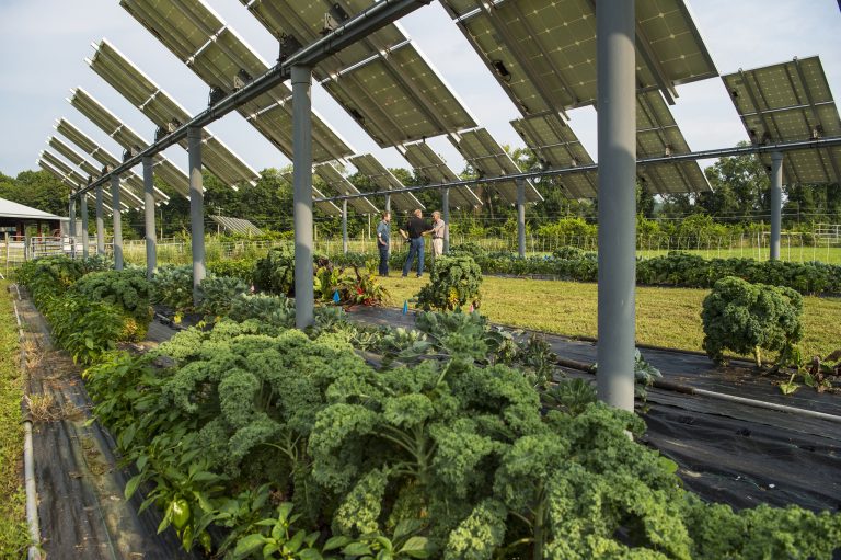 Solar Plus How Solar Integrated Agriculture Could Reduce Barriers To