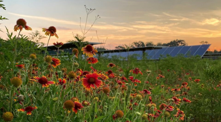 PV-SMaRT Demonstrates Stormwater Benefits of Solar: Plains, GA - Great ...